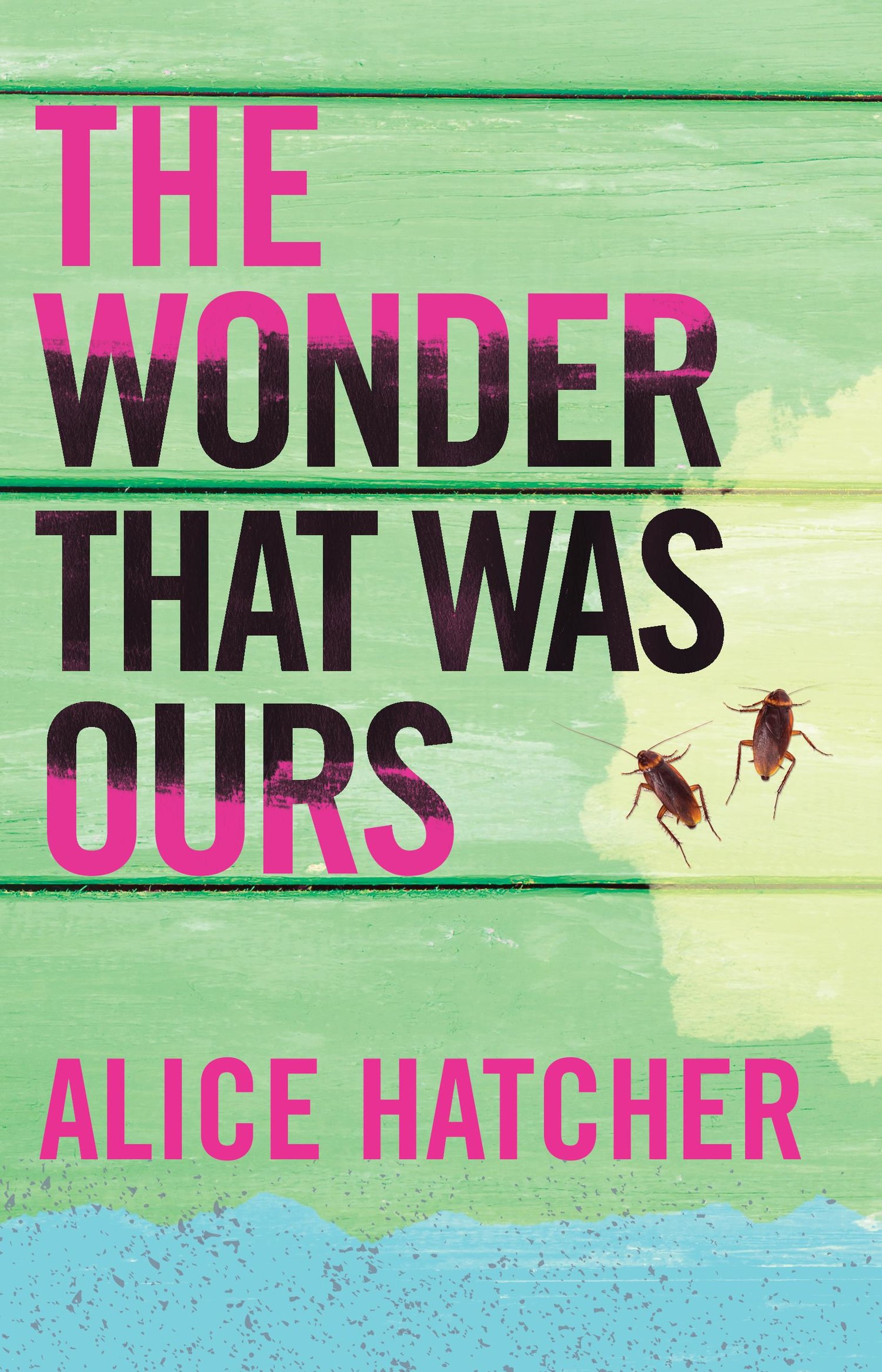 The Wonder That Was Ours (excerpt) - Alice Hatcher - Cagibi Literary ...