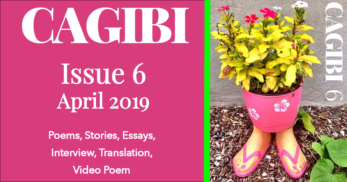 Issue 6 - Cagibi Literary Journal