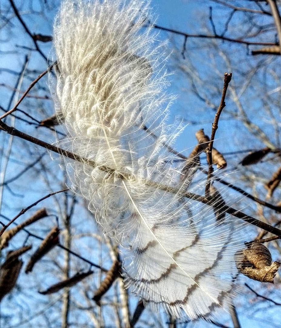 All On a Bright Day In April - Cagibi