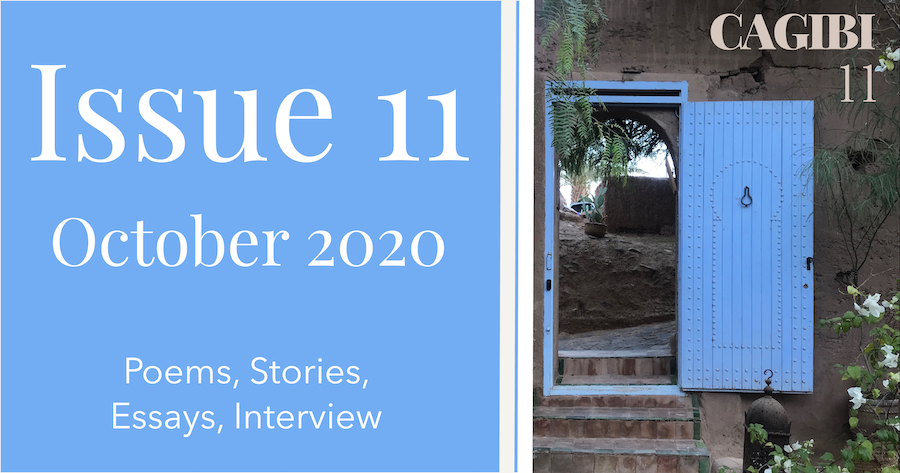 Issue 11 - Cagibi