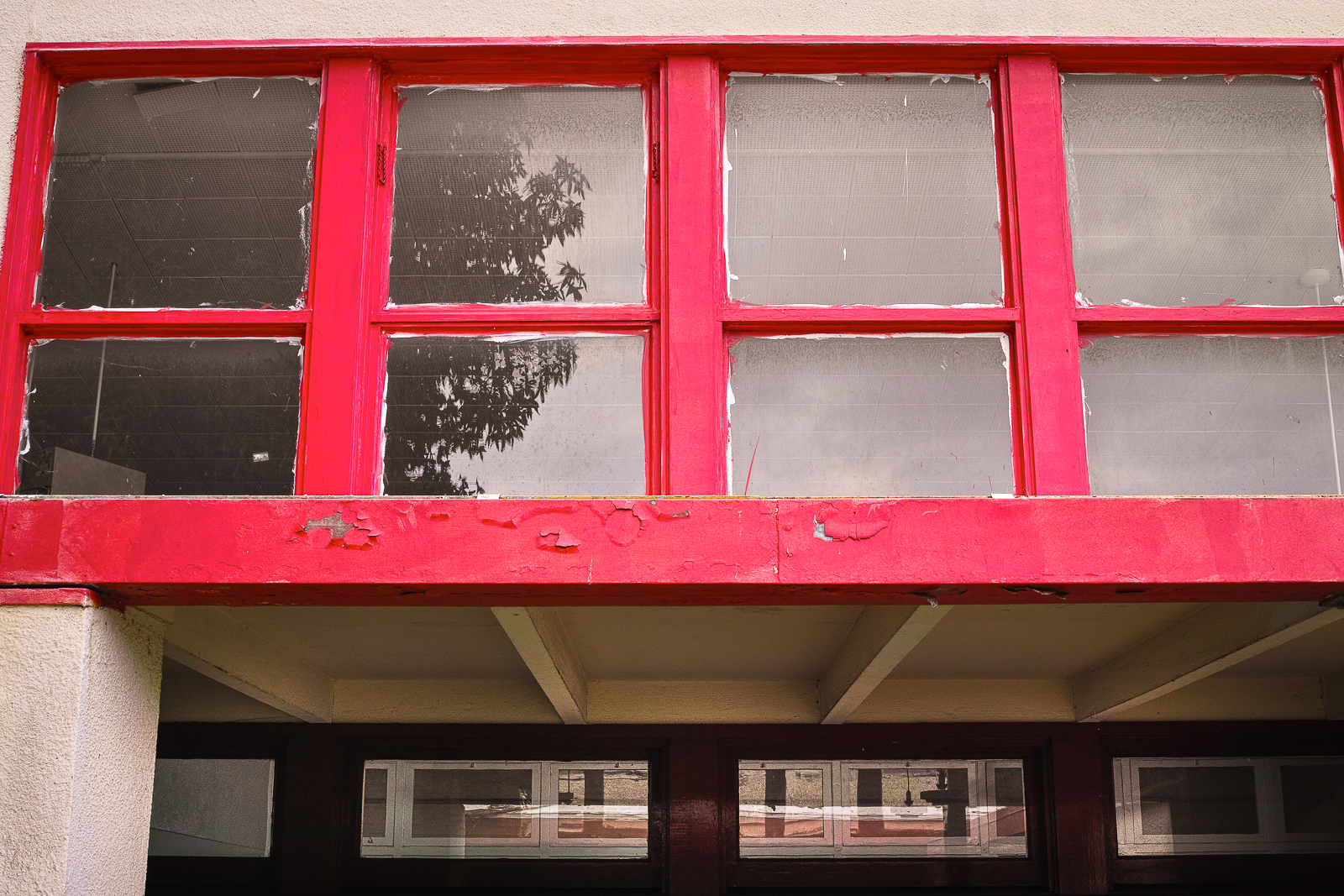 In the Meadow - Cagibi