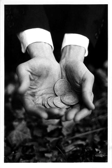 Reading the Signs - Cagibi